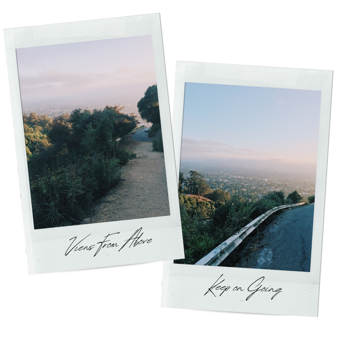 Hiking the Berkeley Fire Trails - kimcollective.com