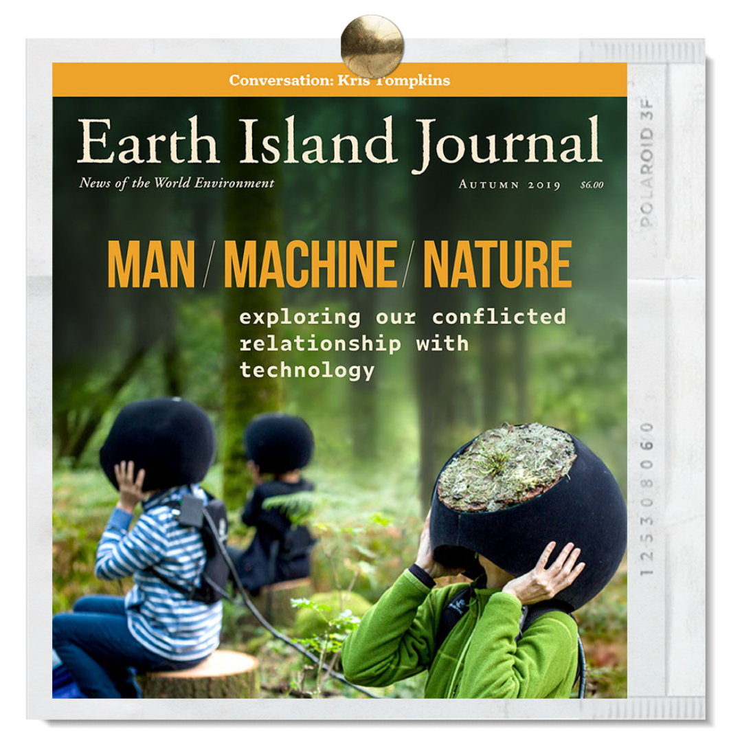 Top 10 Environmental News Websites to Bookmark Now - kimcollective.com