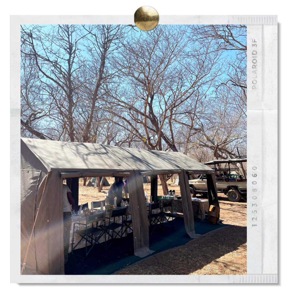 10-Day Trip to Okavango Delta in Botswana - kimcollective.com